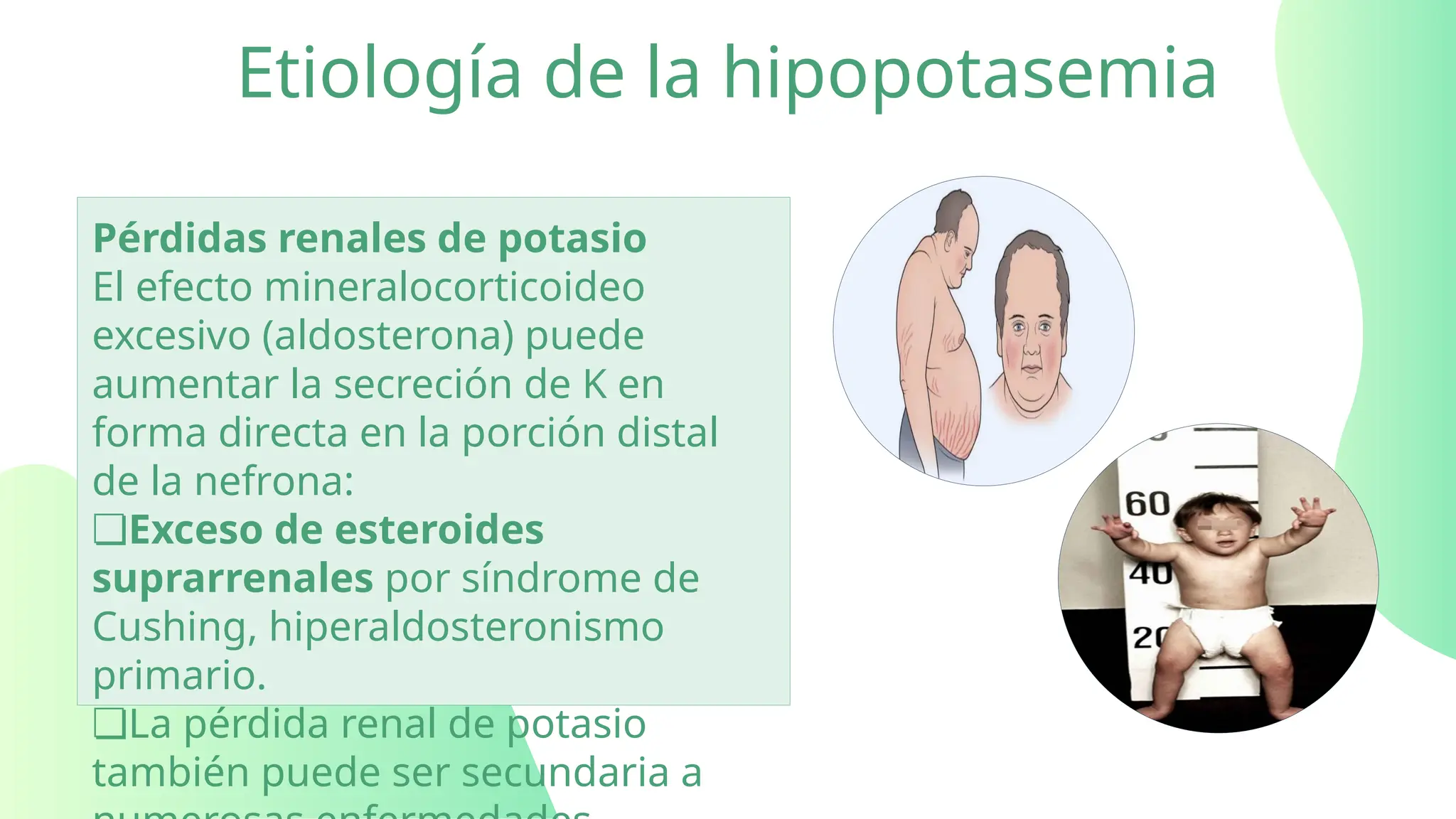 HIPOKALEMIA Y RESPOSICION DE POTASIO CASO CLINICO | PPT | Descarga Gratuita