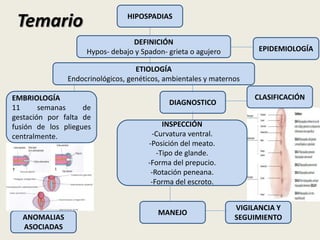 Epispadias E Hipospadias