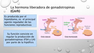 Eje Hipotalamo Hipofisis | PPTX
