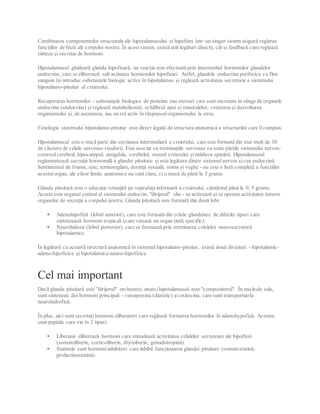 Hipotalamus hipofiza | DOCX