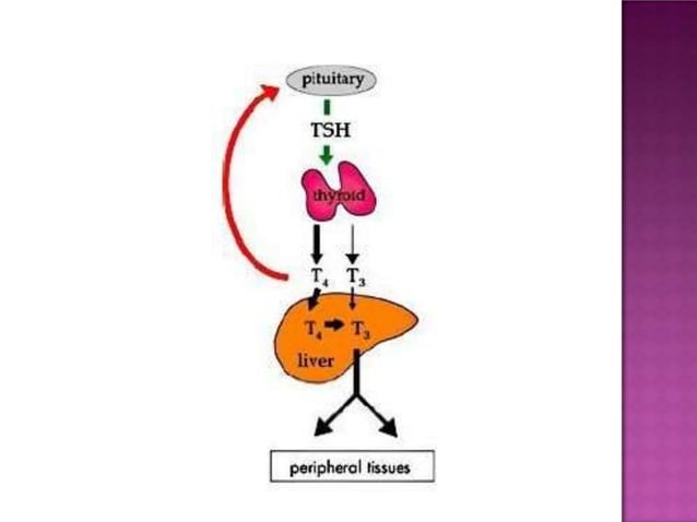 hipotiroid-kongenital-ppt.pptx