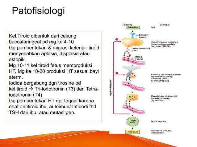 Hipotiroid_Kongenital_Pelatihan_SHK_fini.pptx