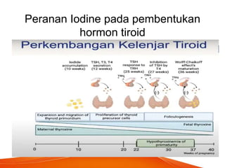 Hipotiroid_Kongenital_Pelatihan_SHK_fini.pptx