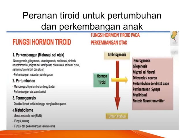 Hipotiroid_Kongenital_Pelatihan_SHK_fini.pptx