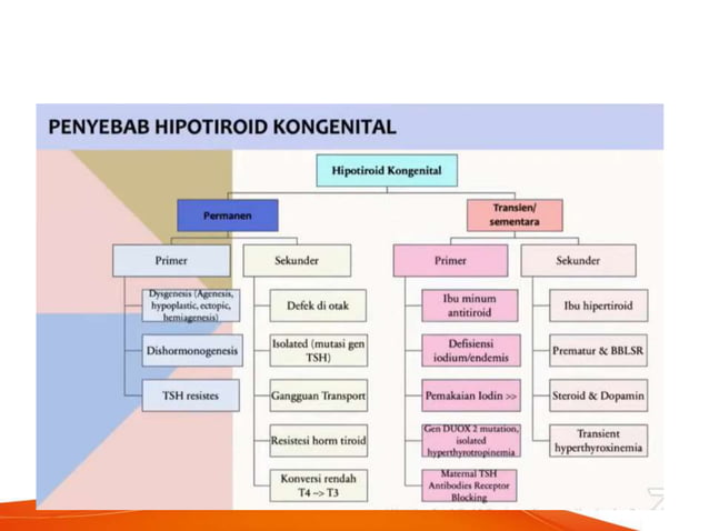 Hipotiroid_Kongenital_Pelatihan_SHK_fini.pptx