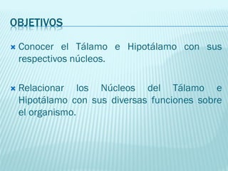 Hipotálamo y tálamo | PDF