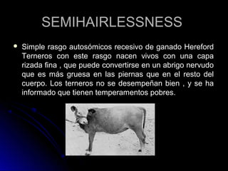 Hipotrichosis | PPT
