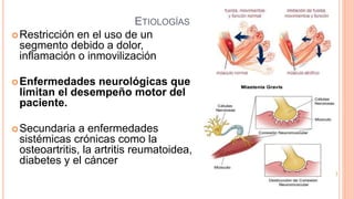 Hipotrofia y atrofia | PPTX