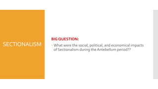 HIPPO Analysis Instructions | PPTX