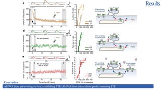 Hippocampai LTP & contextual learning require surface diffusion of AMPA ...