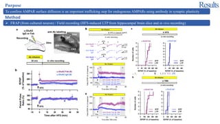 Hippocampai LTP & contextual learning require surface diffusion of AMPA ...