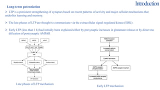 Hippocampai LTP & contextual learning require surface diffusion of AMPA ...