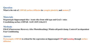 Hippocampai LTP & contextual learning require surface diffusion of AMPA ...