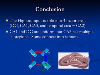 Genomic Mapping of Hippocampus | PPT