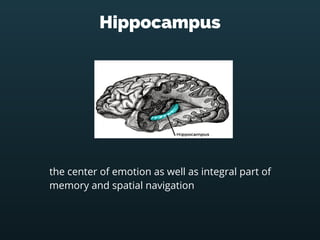 Hippocampus & Recognition Memory by Raghav Mattay | PDF