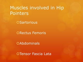 Hip pointer presentation em and holly[1] | PPTX