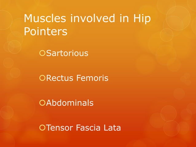 Hip pointer presentation em and holly[1] | PPT