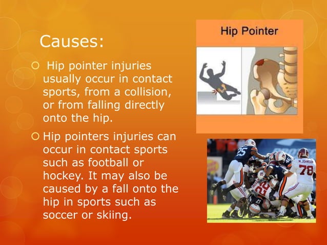 Hip pointer presentation em and holly[1] | PPT