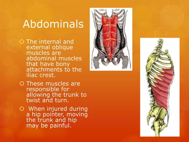 Hip pointer presentation em and holly[1] | PPT