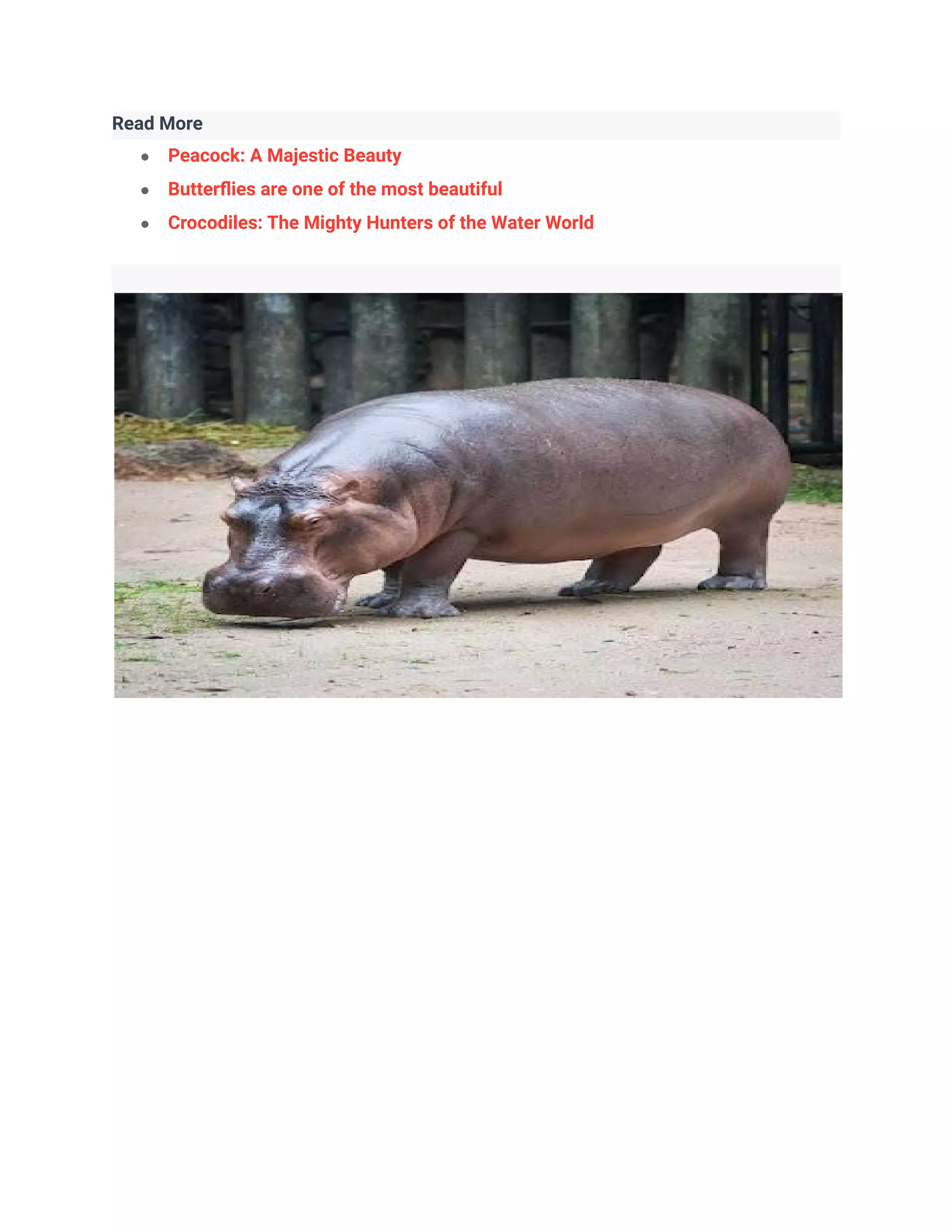 Hippopotamus.pdf | Large Animals | Pets