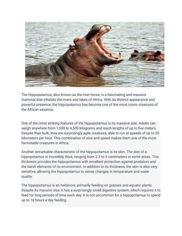 Hippopotamus.pdf | Large Animals | Pets