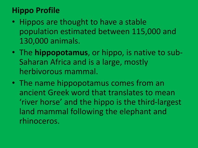 Hippopotamus Facts.pptx