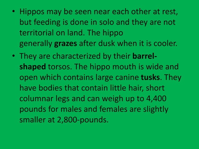 Hippopotamus Facts.pptx