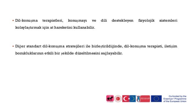 HIPPOTHERAPY and sensory processing TR | PDF