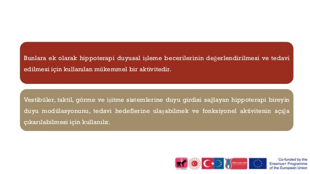 HIPPOTHERAPY and sensory processing TR | PDF