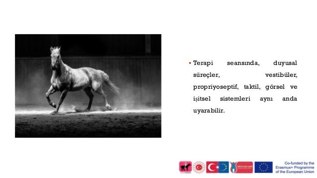 HIPPOTHERAPY and sensory processing TR | PDF