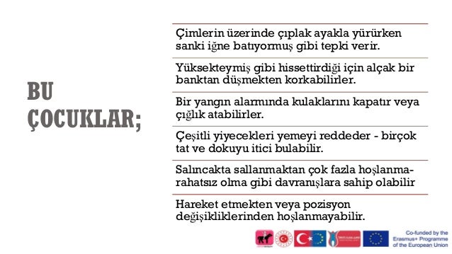 HIPPOTHERAPY and sensory processing TR | PDF