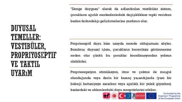 HIPPOTHERAPY and sensory processing TR | PDF