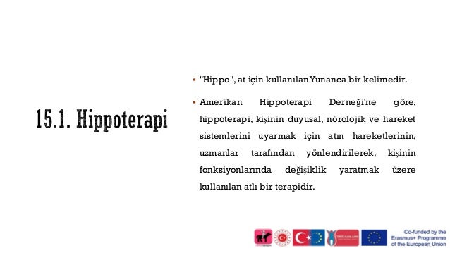 HIPPOTHERAPY and sensory processing TR | PDF