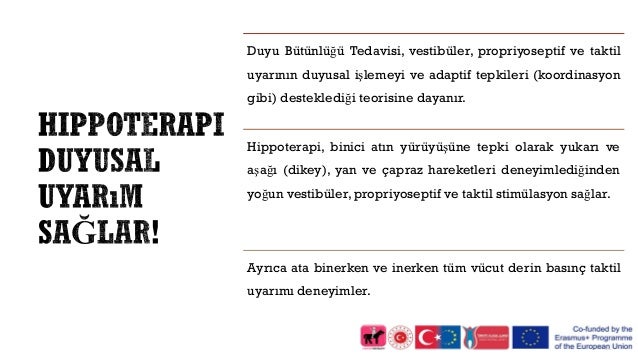 HIPPOTHERAPY and sensory processing TR | PDF