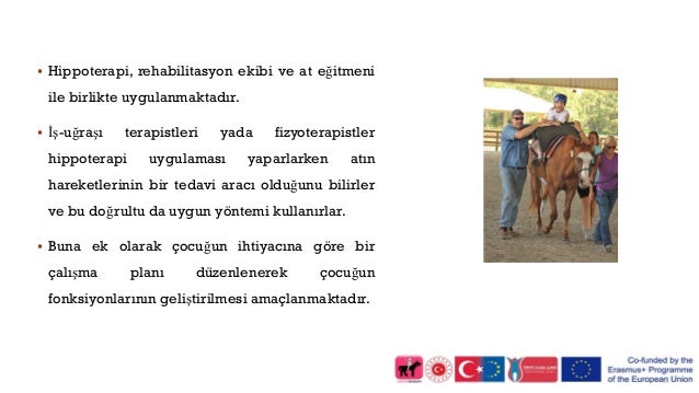 HIPPOTHERAPY and sensory processing TR | PDF