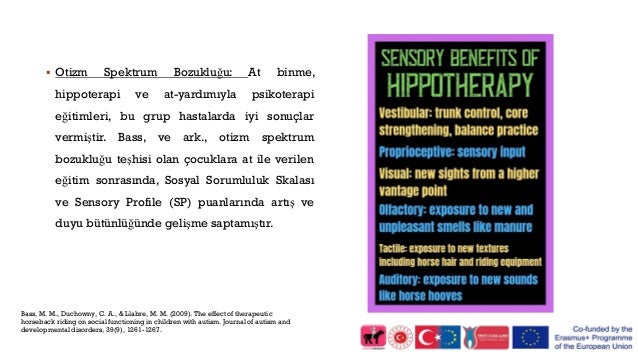 HIPPOTHERAPY and sensory processing TR | PDF