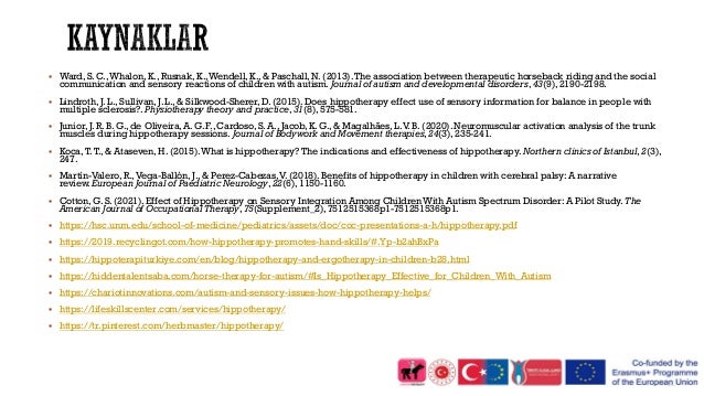 HIPPOTHERAPY and sensory processing TR | PDF