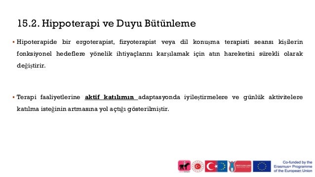 HIPPOTHERAPY and sensory processing TR | PDF