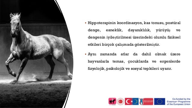 HIPPOTHERAPY and sensory processing TR | PDF