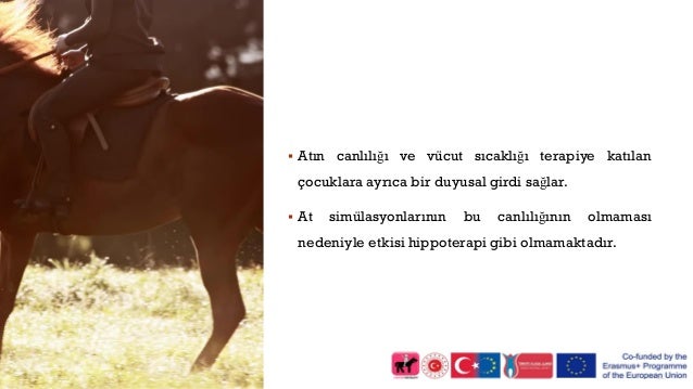 HIPPOTHERAPY and sensory processing TR | PDF