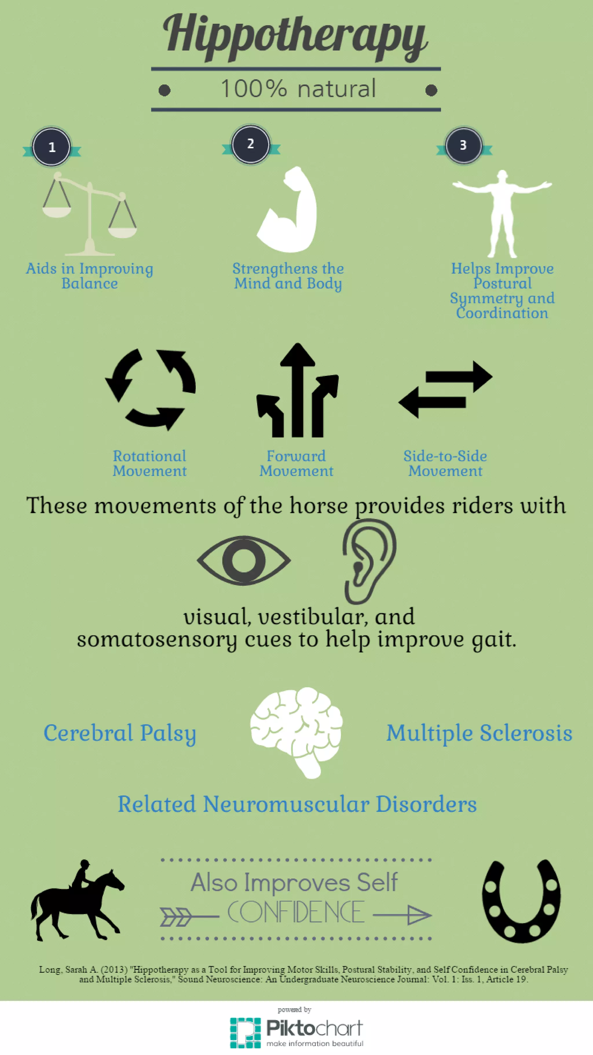 Hippotherapy | PDF