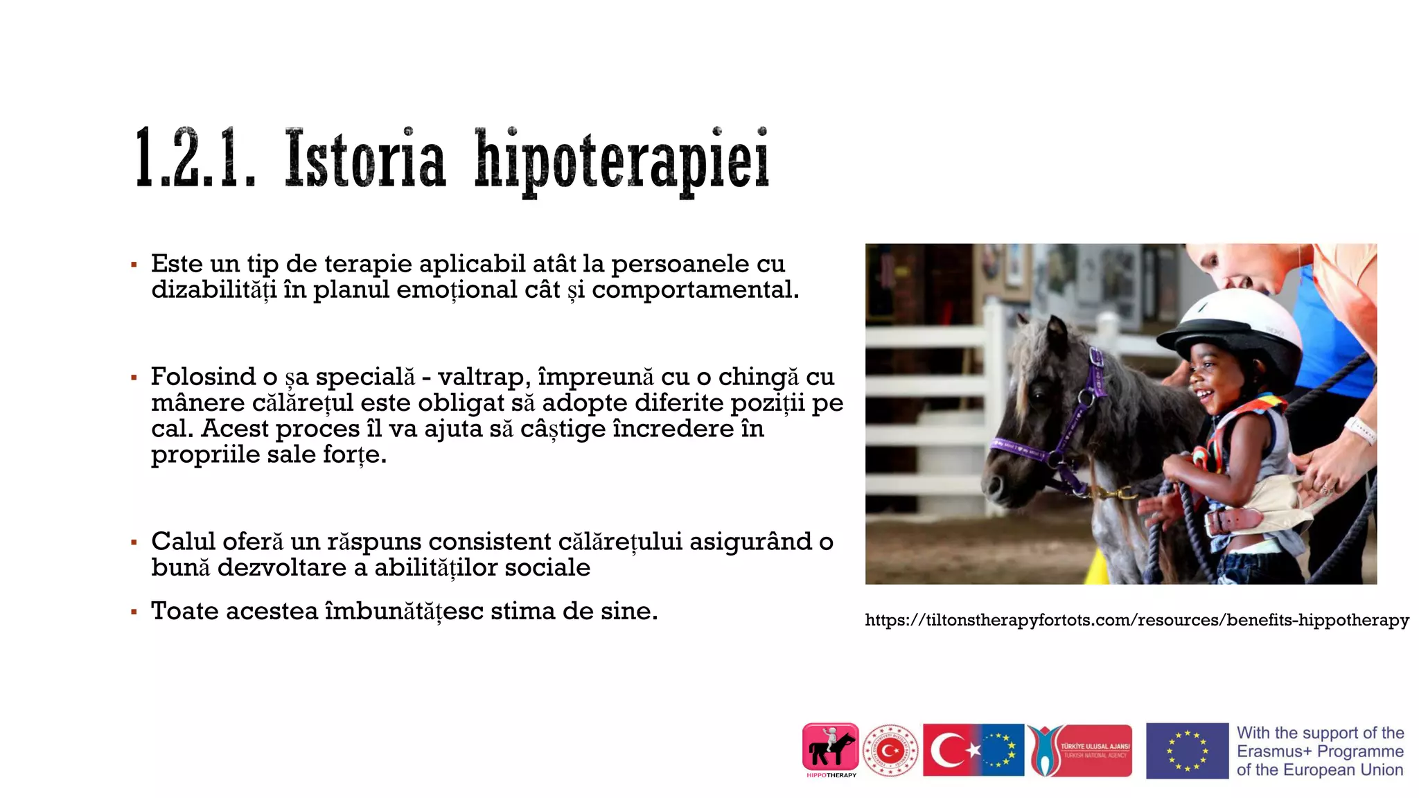 Hippotherapy Module 1 RO | PDF