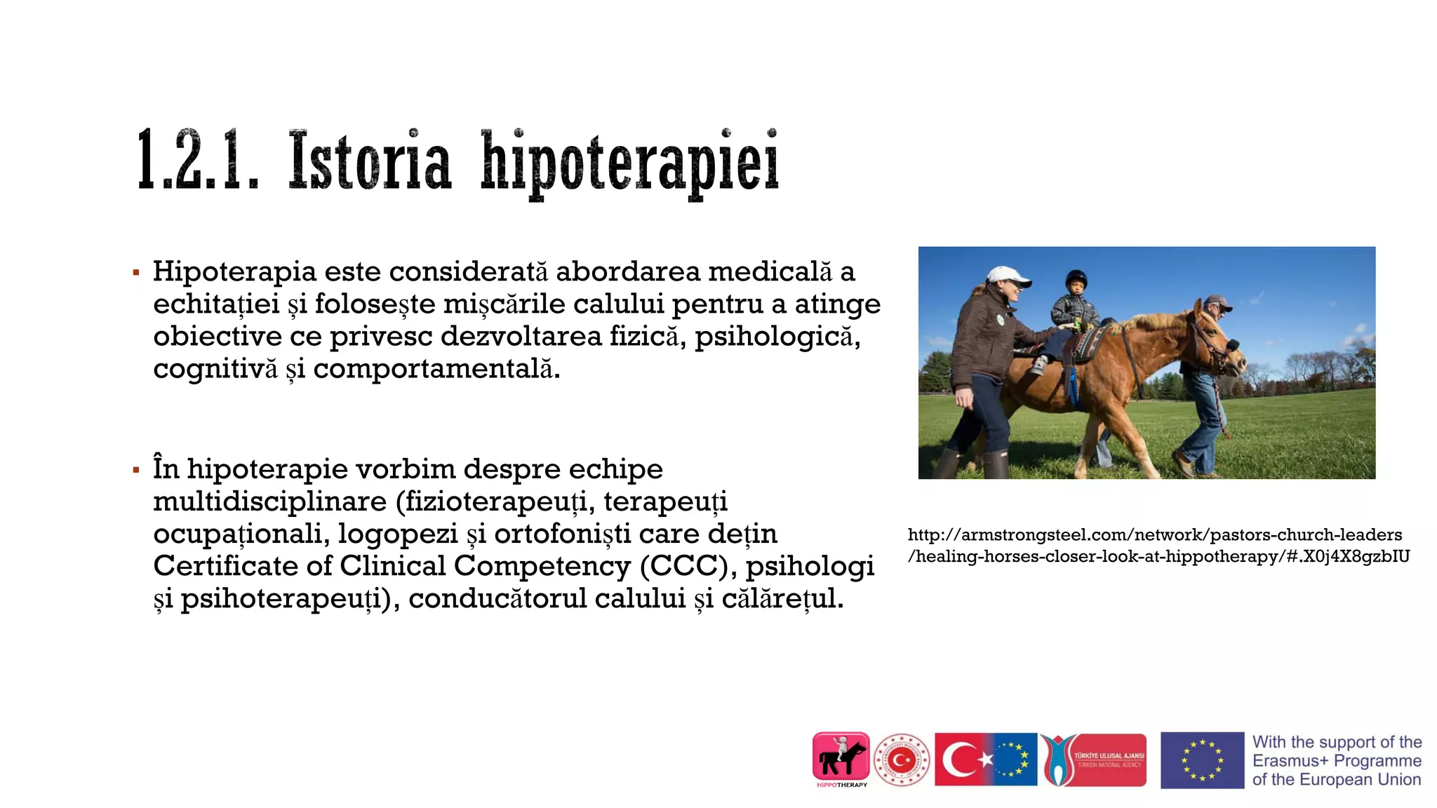 Hippotherapy Module 1 RO | PDF
