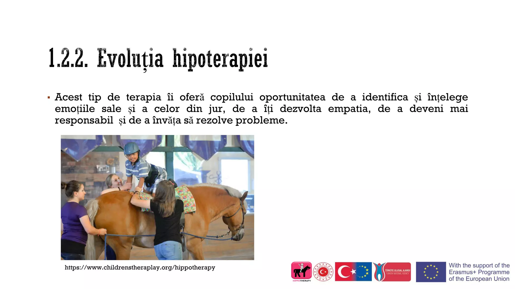 Hippotherapy Module 1 RO | PDF