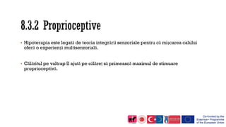 Hippotherapy module 8 RO | PPT