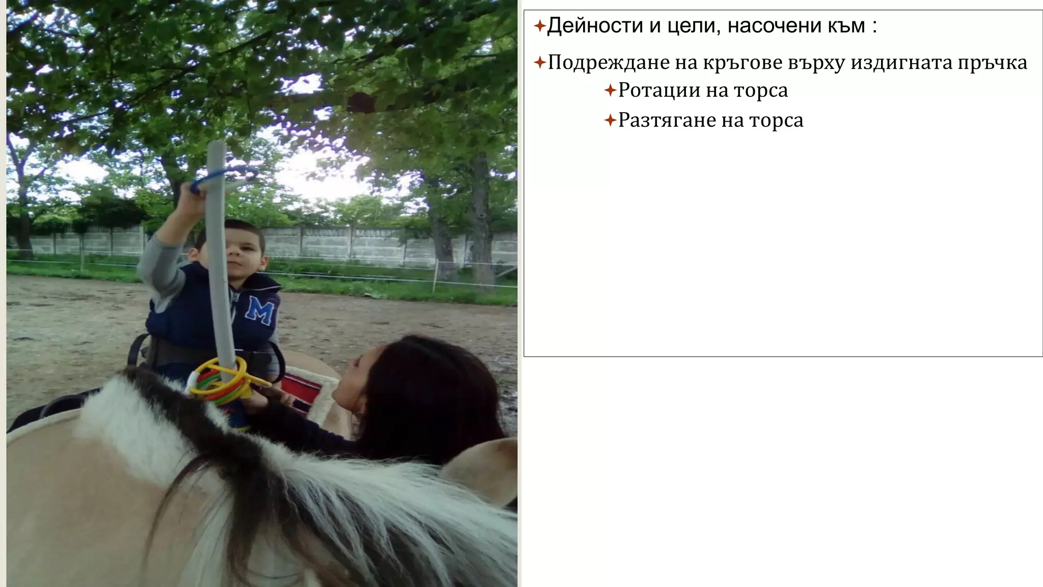 HIPPOTHERAPY MODULE 11 BG | PDF