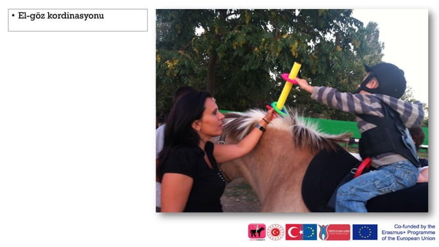 Hippotherapy module 11 TR | PDF