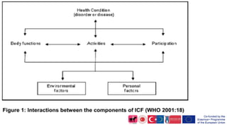 Hippotherapy module 13 TR | PDF