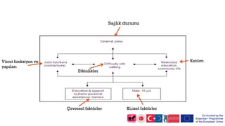 Hippotherapy module 13 TR | PDF