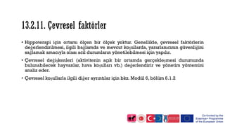 Hippotherapy module 13 TR | PDF